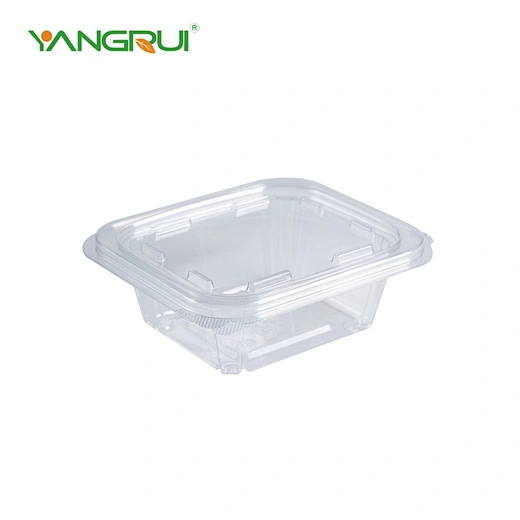 yangrui Transparent Food Container - eco friendly take out boxes and ...